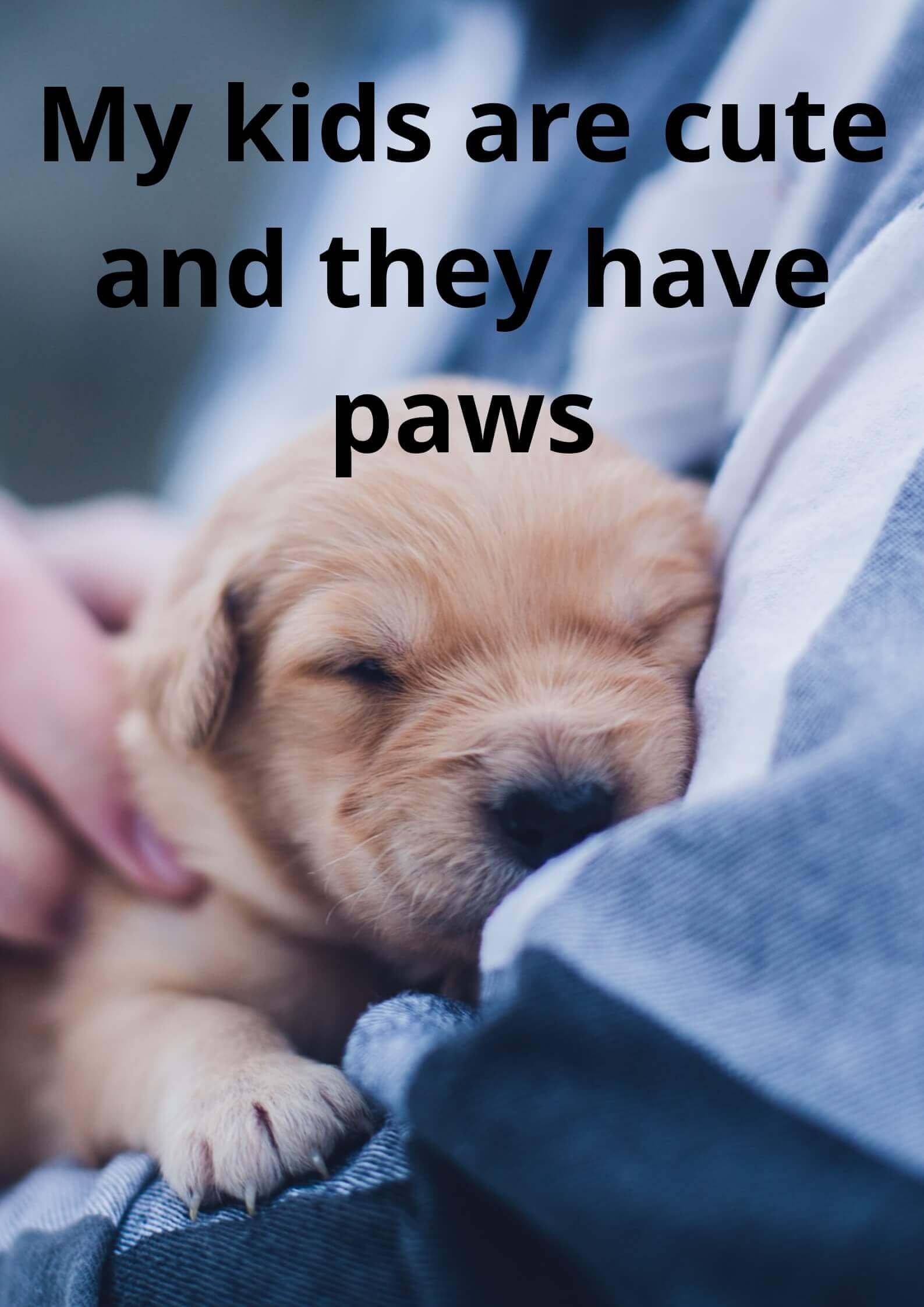 15 Best Dog Mom Quotes That Will Warm Your Heart - Labrador Loving Souls