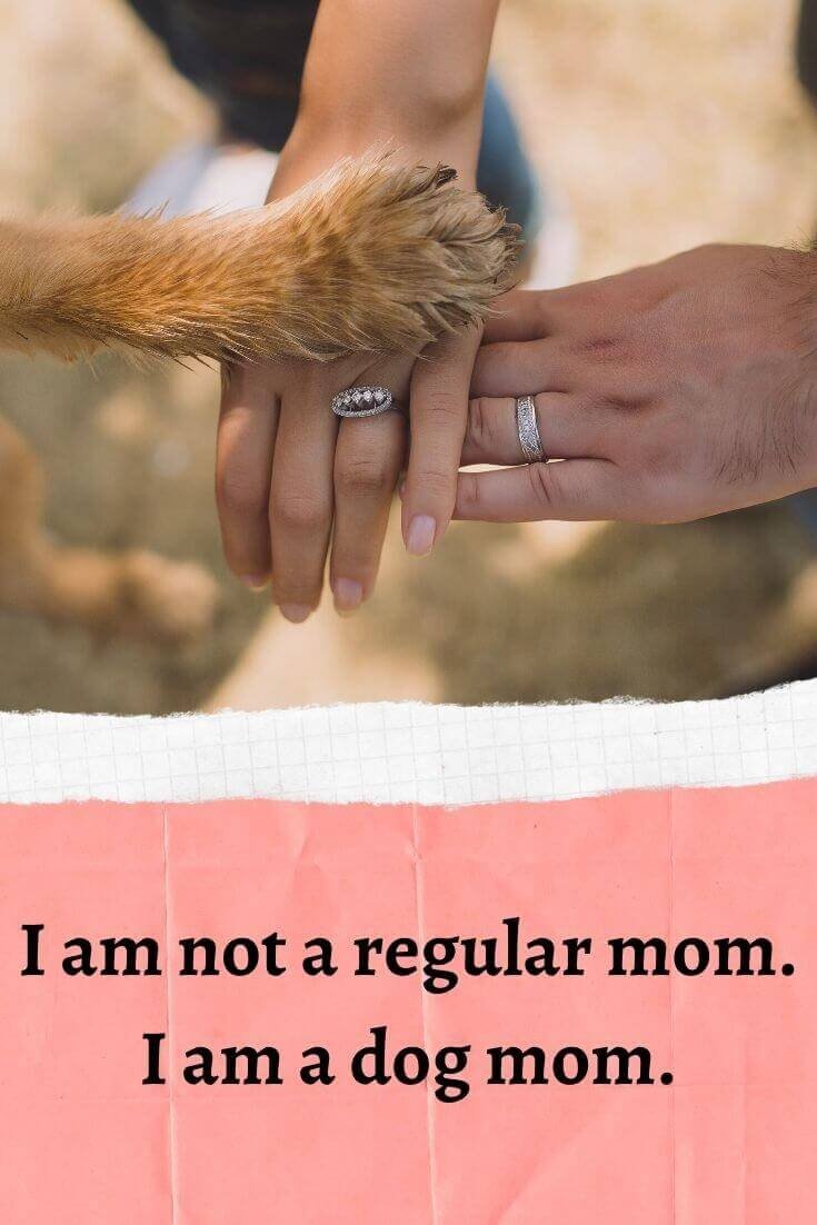 15 Best Dog Mom Quotes That Will Warm Your Heart - Labrador Loving Souls