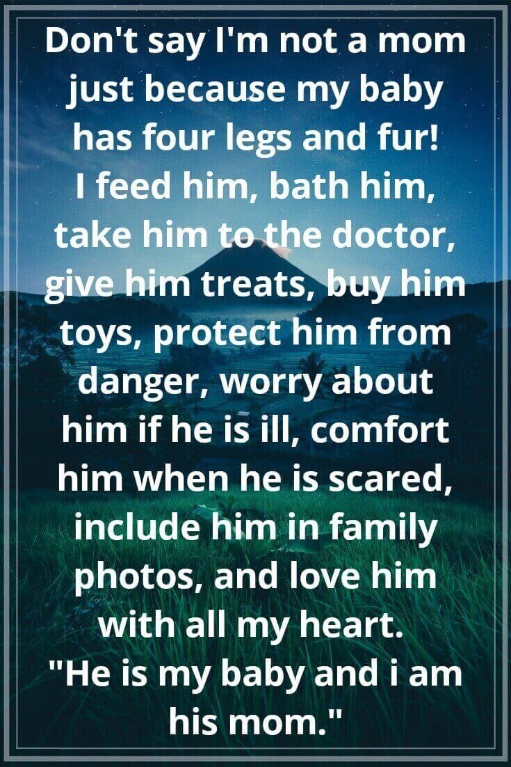 15 Best Dog Mom Quotes That Will Warm Your Heart - Labrador Loving Souls
