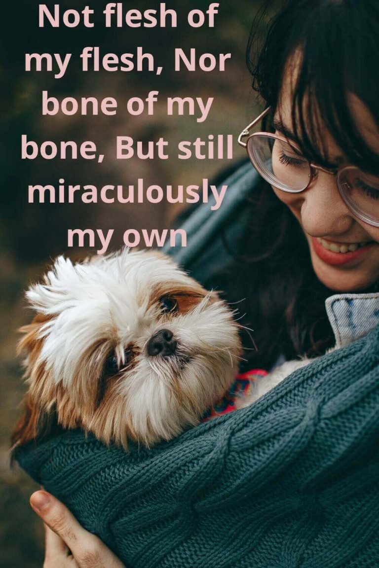 15 Best Dog Mom Quotes That Will Warm Your Heart - Labrador Loving Souls